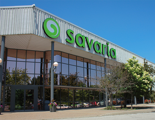 About Savaria Alberta | Official Video